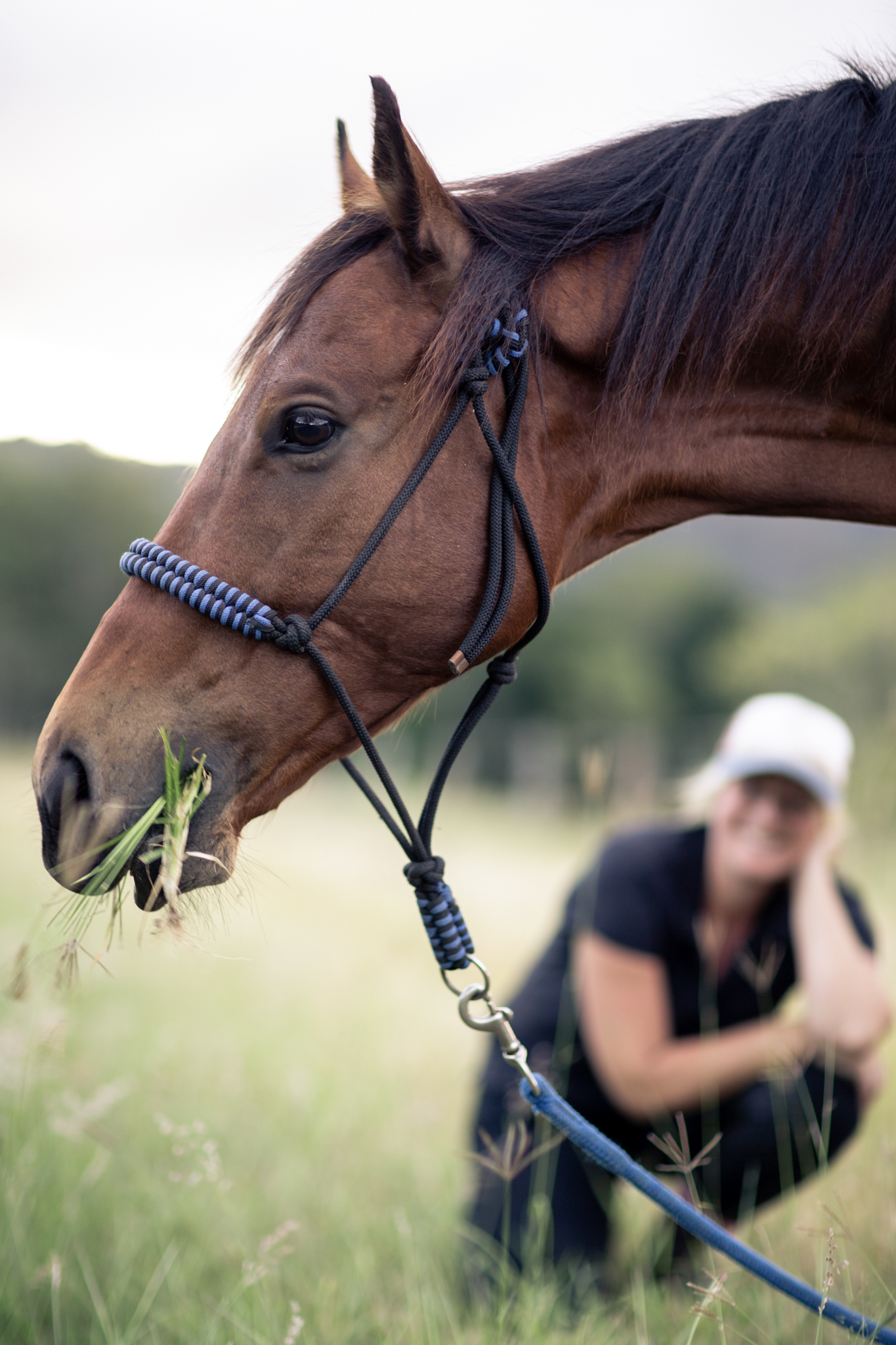 Our Programs Life With Horses our-programs-life-with-horses