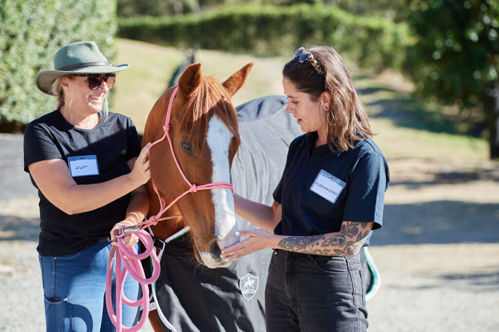Team Building Day - Imagine Holidays Australia - Life with Horses
